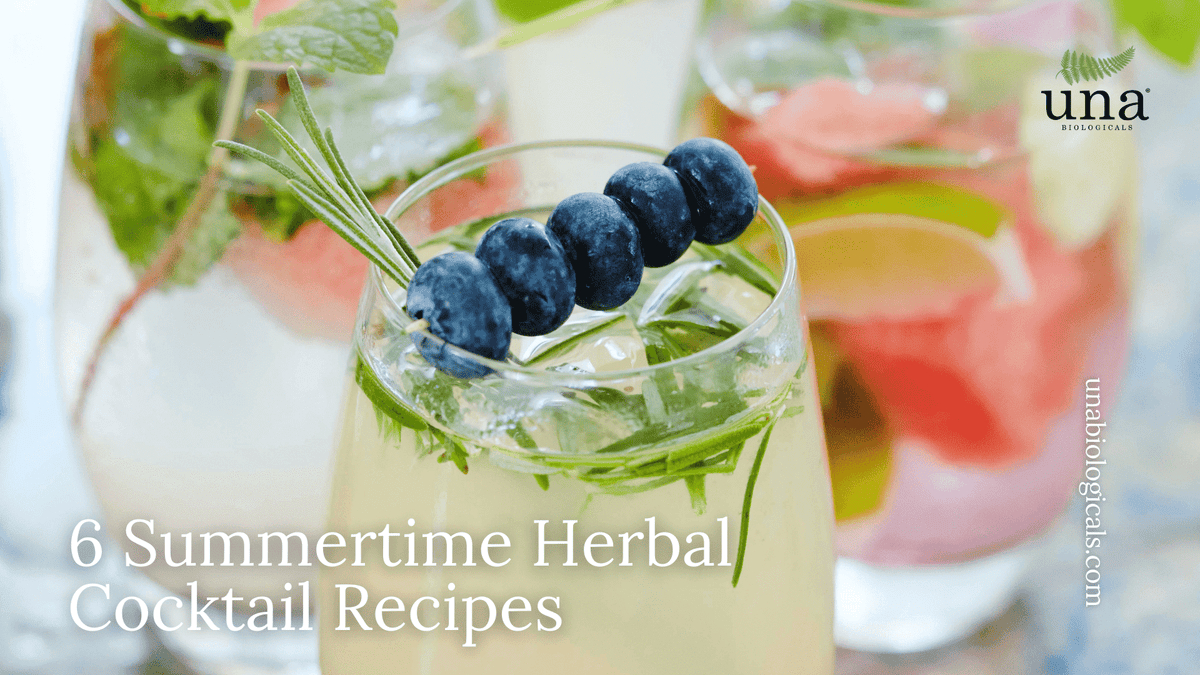 6 Summertime Herbal Cocktail Recipes – Una Biologicals®