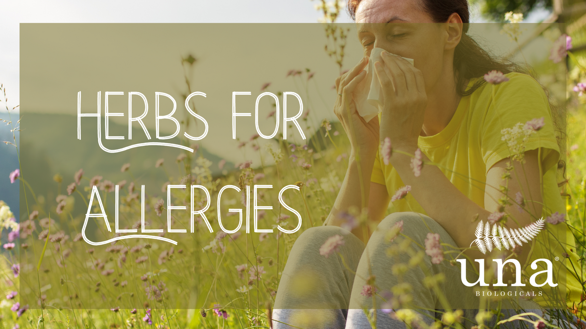 Herbs for Seasonal Allergies – Una Biologicals®