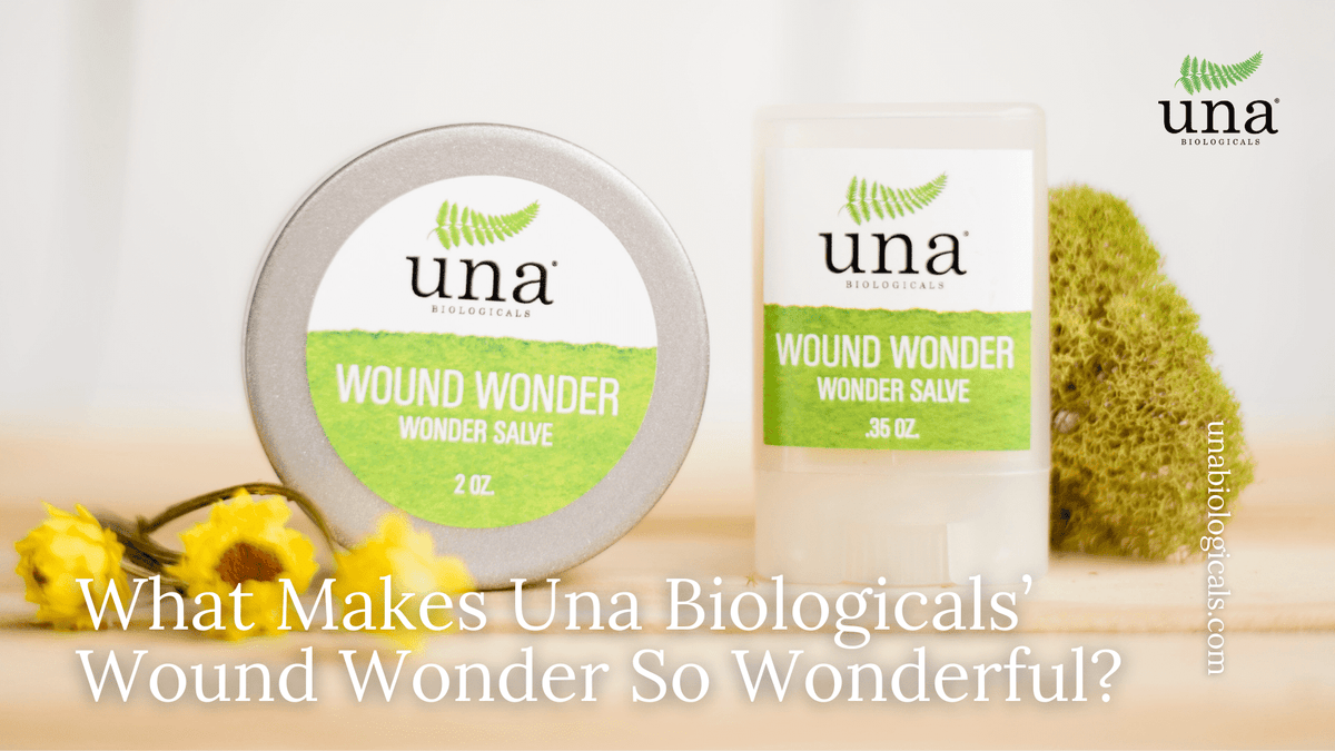 What Makes Una Biologicals' Wound Wonder So Wonderful? – Una Biologicals®